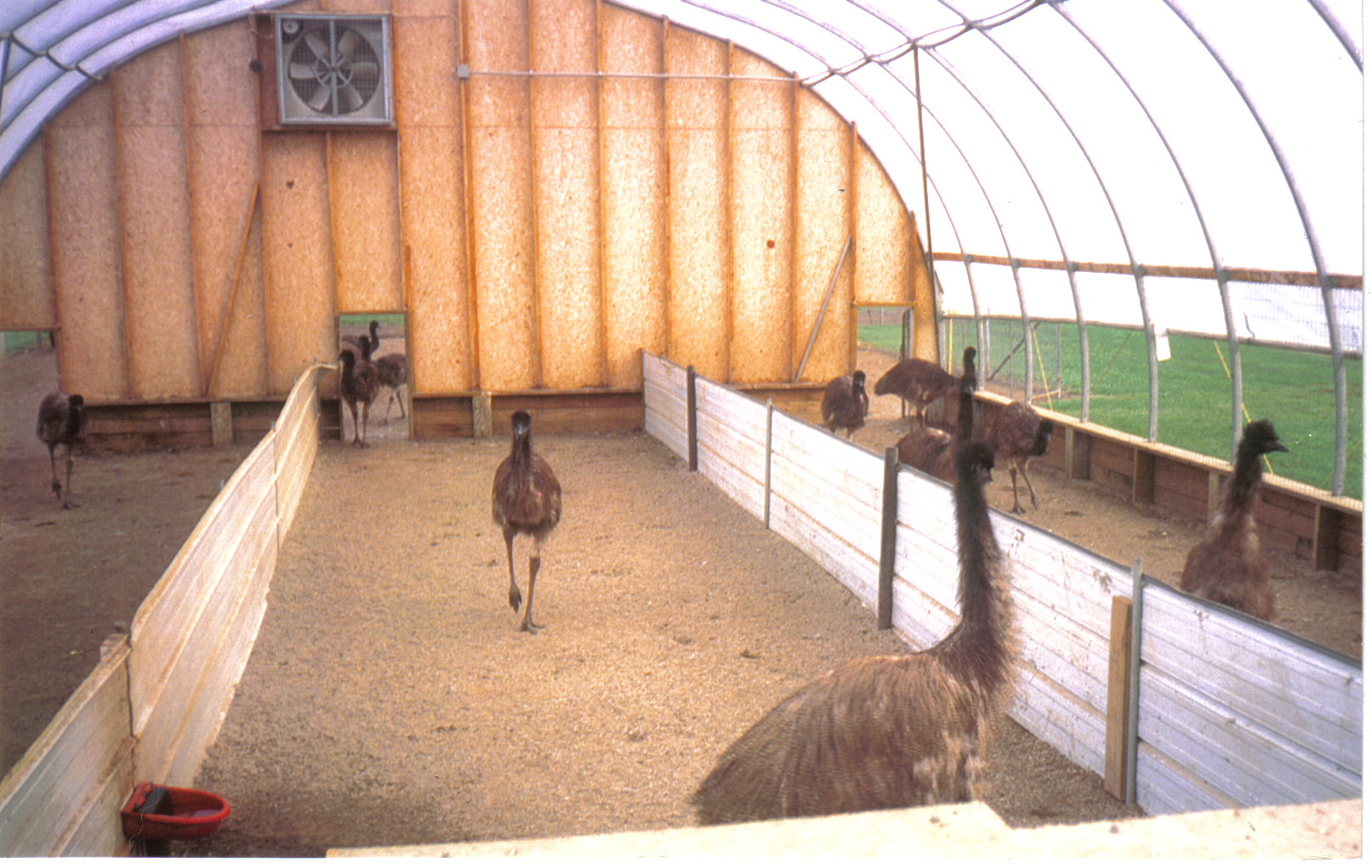 emu – Multi Shelter Solutions